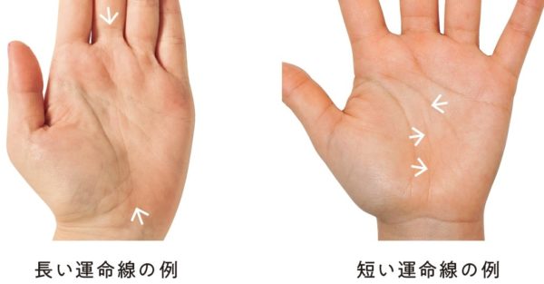 コレであなたの運命がわかる? “運命線”の見方とは… 2018年05月21日 |biglobe Beauty