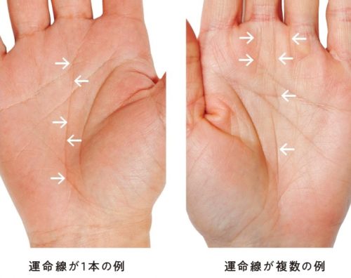 コレであなたの運命がわかる? “運命線”の見方とは…|infoseekニュース